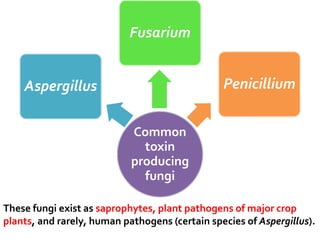 fungi mycotoxins, their classification and mode of action.pptx