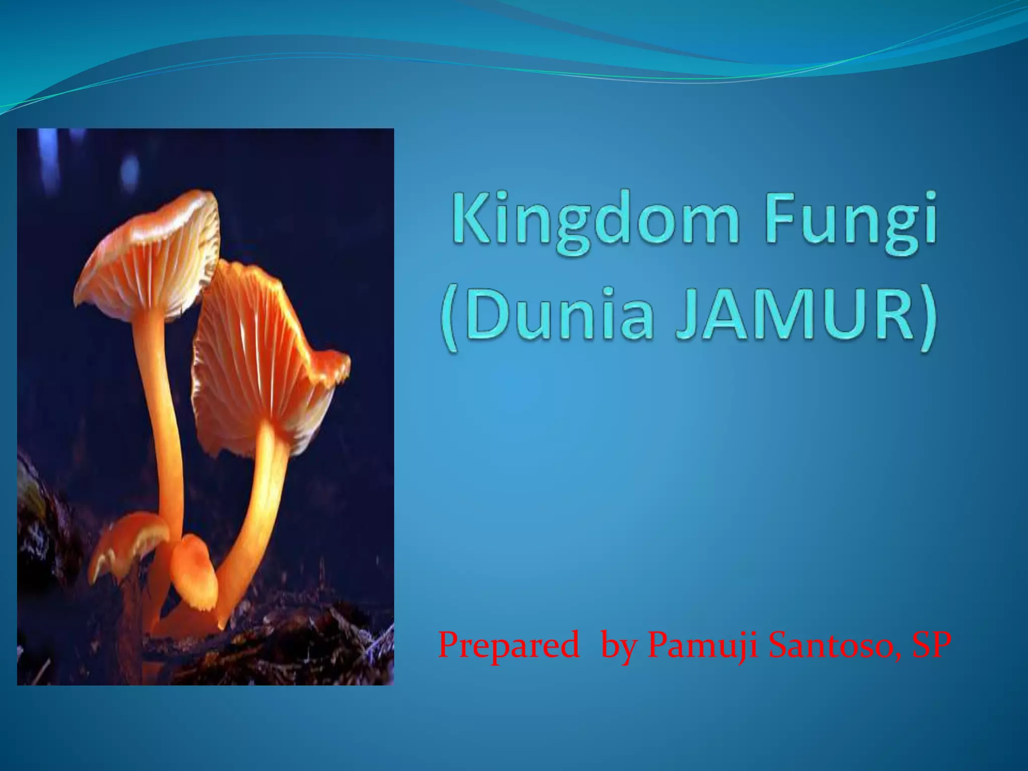 Fungi | PPT