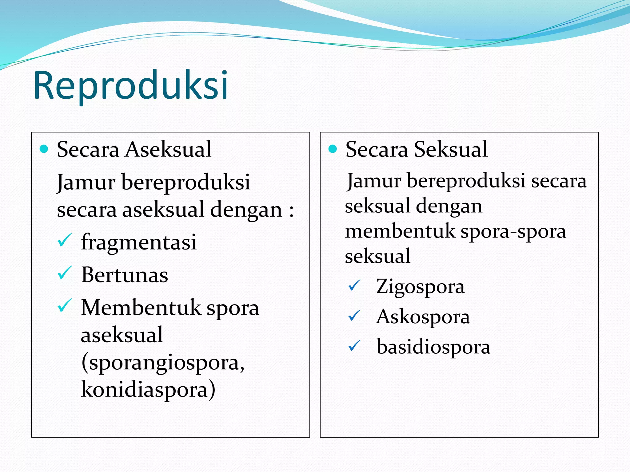 Fungi | PPTX