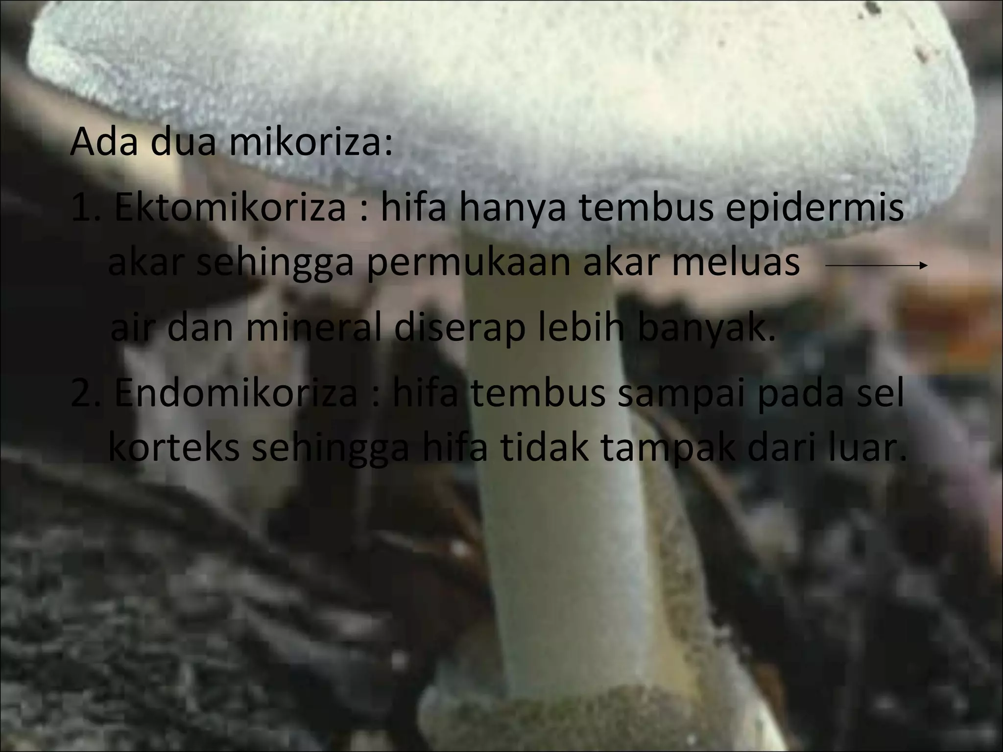 Fungi pertemuan 1 | PPT