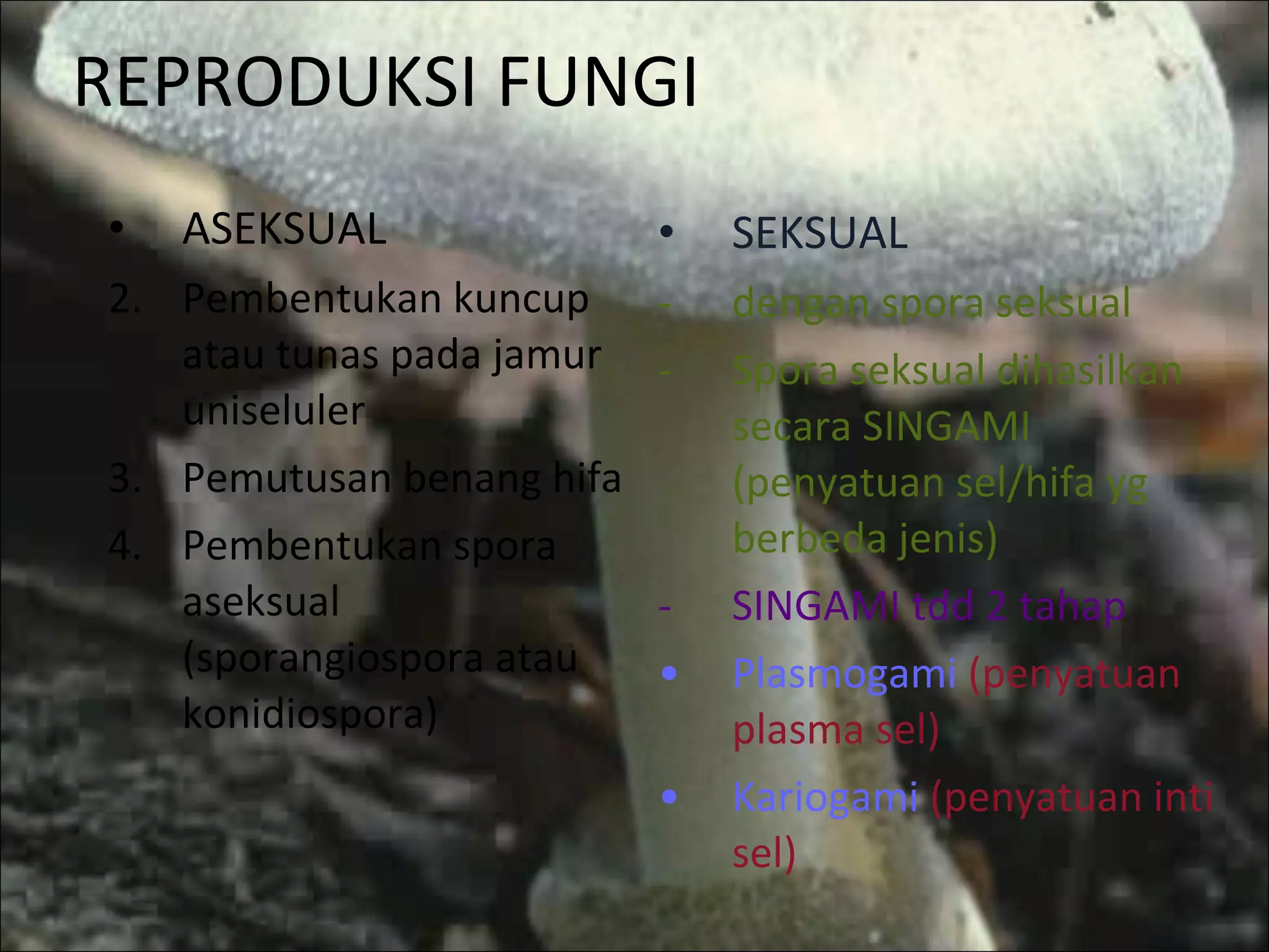Fungi pertemuan 1 | PPT