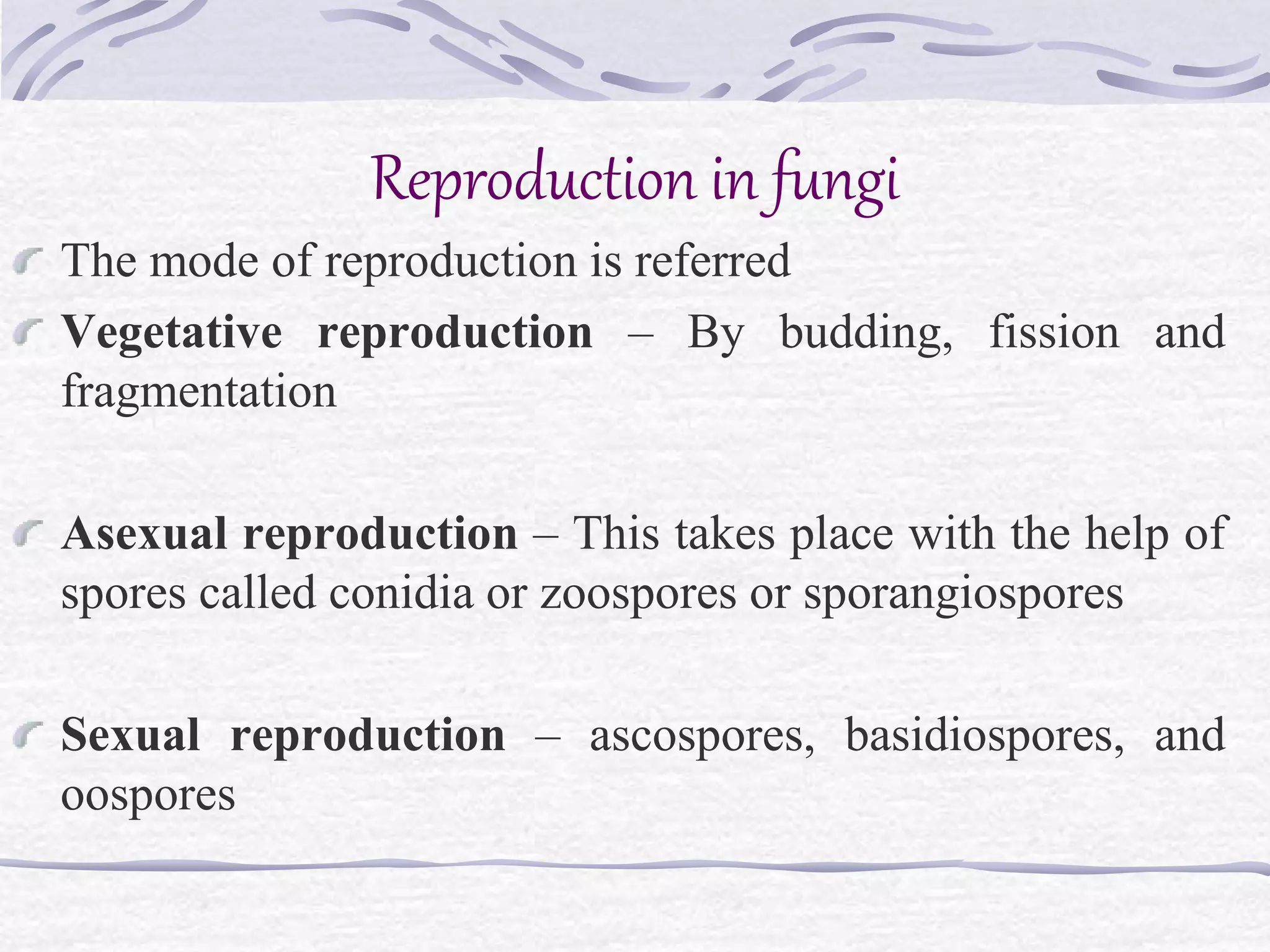 General Characteristics & Classification of Fungi | PPT