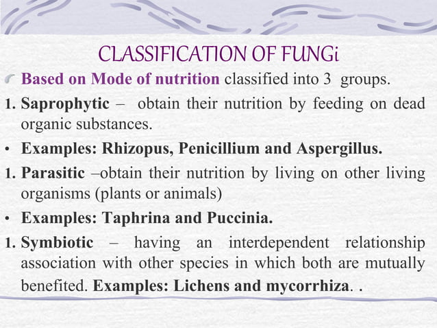 General Characteristics & Classification of Fungi | PPT | Gardening ...