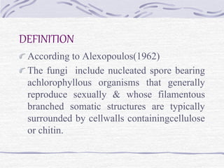 General Characteristics & Classification of Fungi | PPT