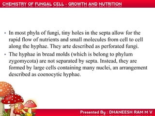 Chemistry of Fungal cell, Growth and Nutrition | PPT