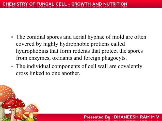 Chemistry of Fungal cell, Growth and Nutrition | PPT