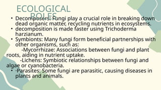 A powerpoint presentation about fungiiii | PPTX