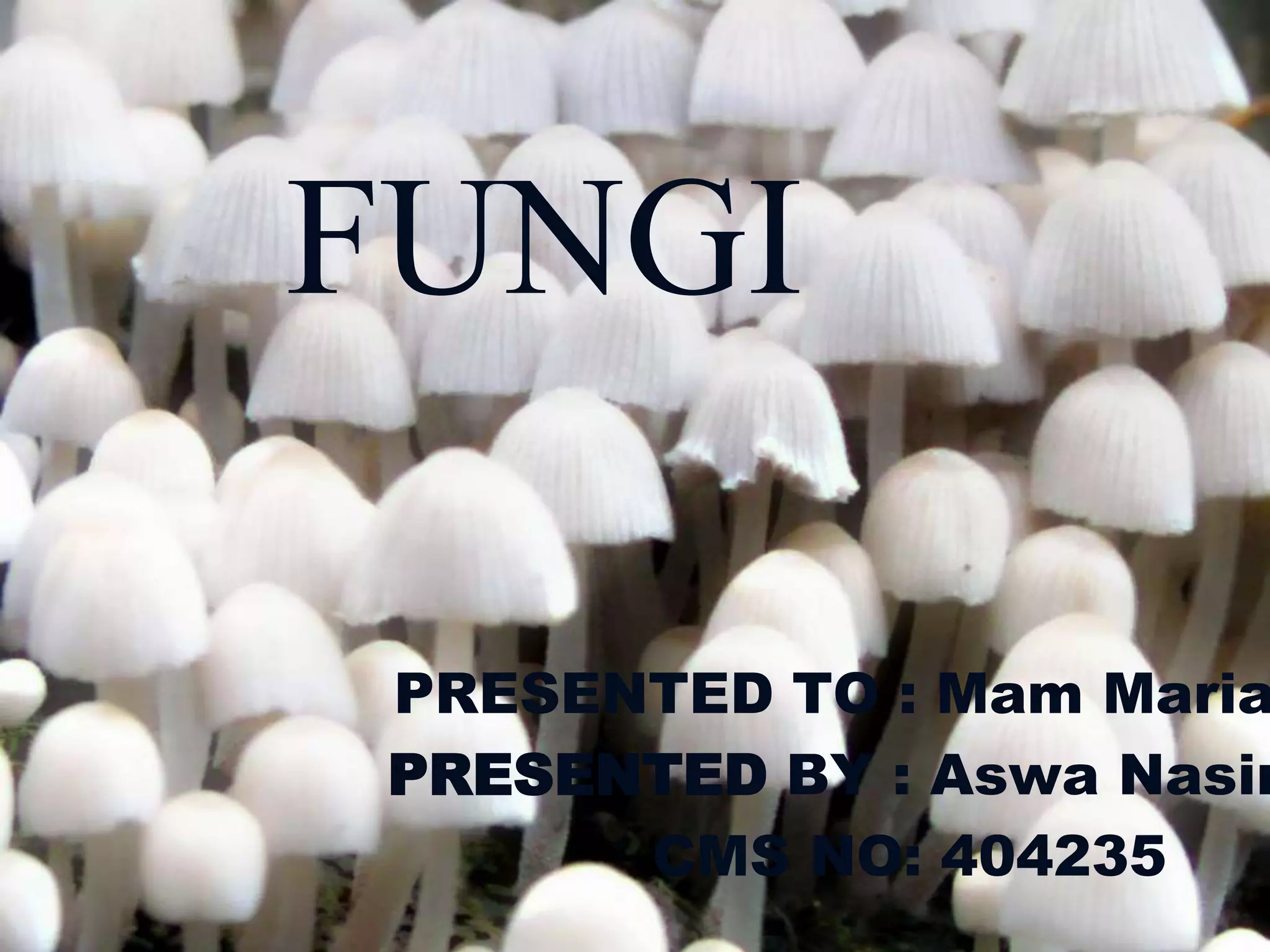 Fungi presentation | PPTX