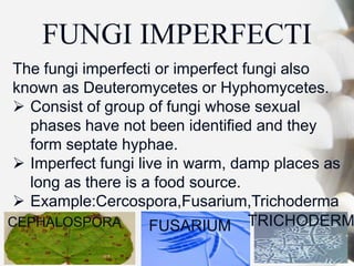 Fungi presentation | PPTX