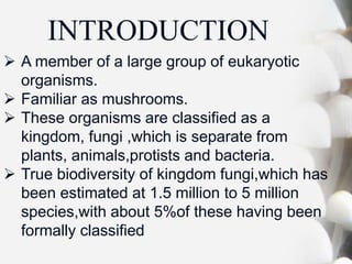 Fungi presentation | PPTX