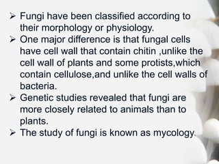 Fungi presentation | PPTX
