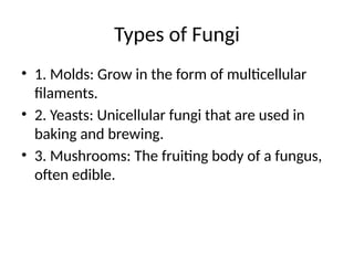 Fungi_Presentation,unexpected_world_of_fungi | PPTX
