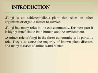 Fungi (forest) | PPTX