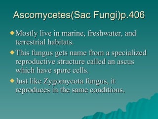 Fungi Project[1] | PPT