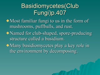Fungi Project[1] | PPT