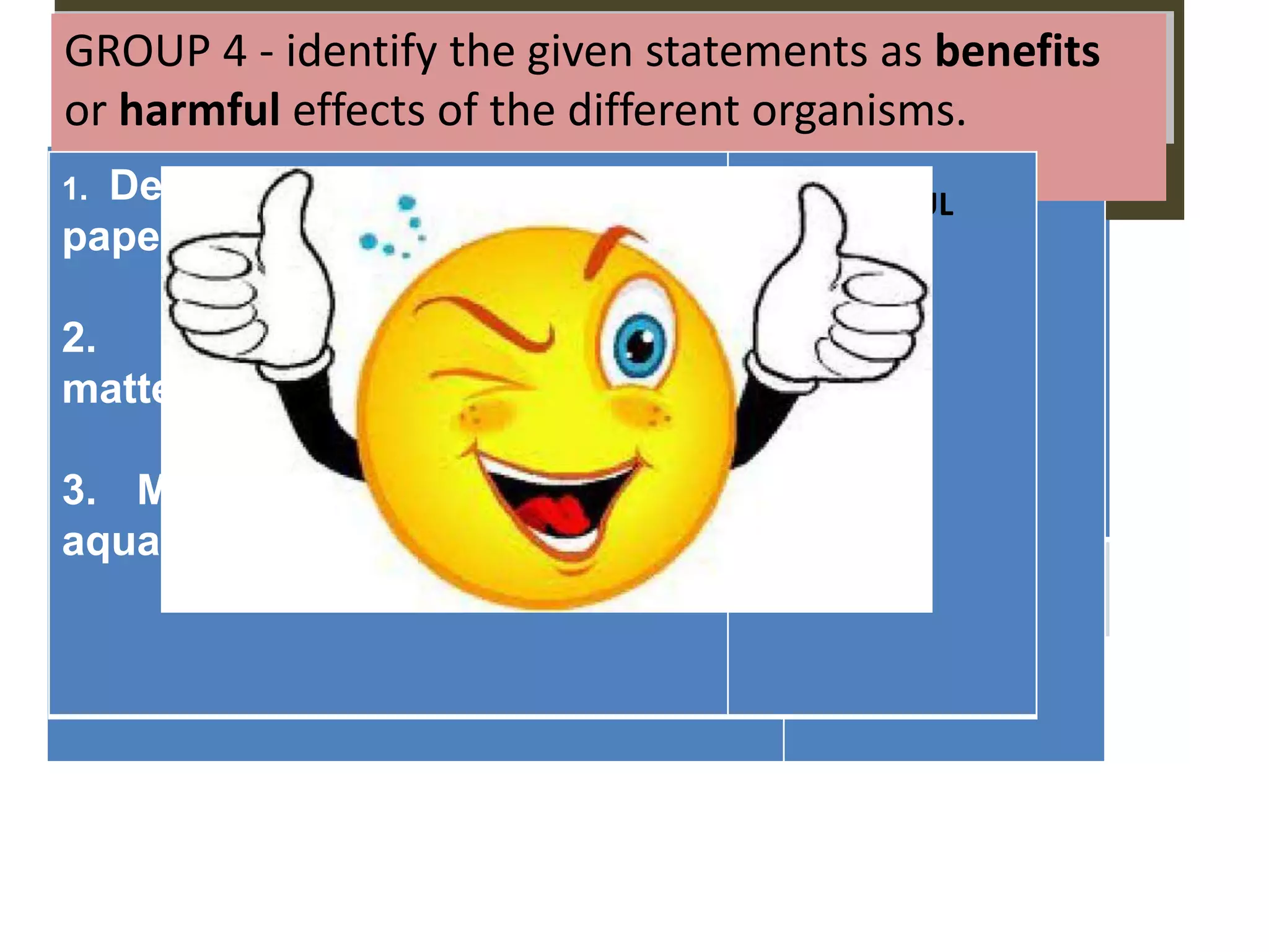 fungi, protists, bacteria-1.pptx