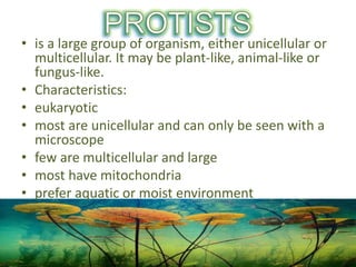 fungi, protists, bacteria-1.pptx