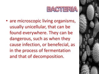 fungi, protists, bacteria-1.pptx
