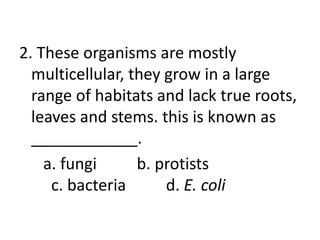 fungi, protists, bacteria-1.pptx