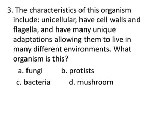 fungi, protists, bacteria-1.pptx