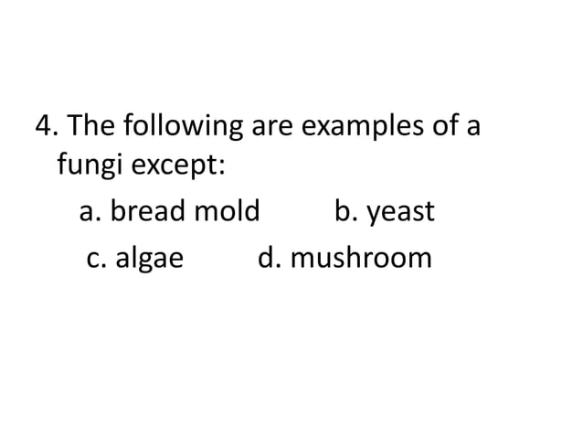 fungi, protists, bacteria-1.pptx