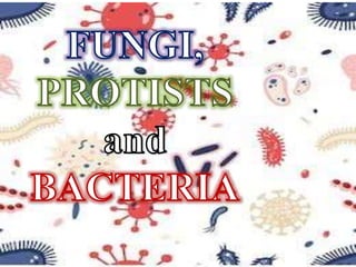 fungi, protists, bacteria-1.pptx
