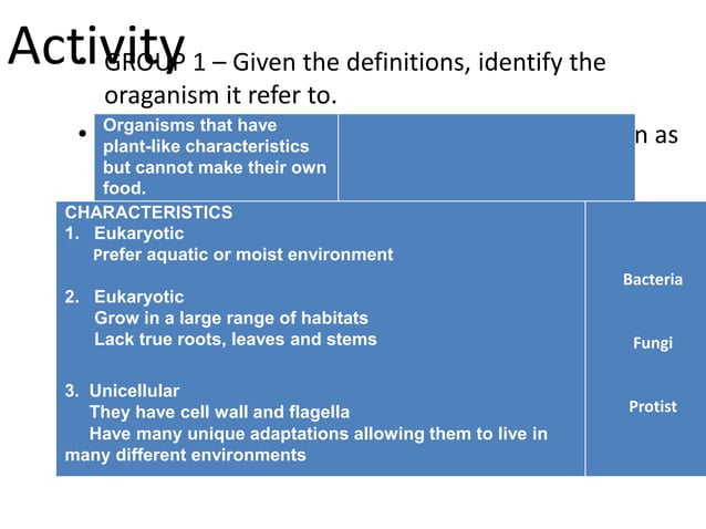 fungi, protists, bacteria-1.pptx