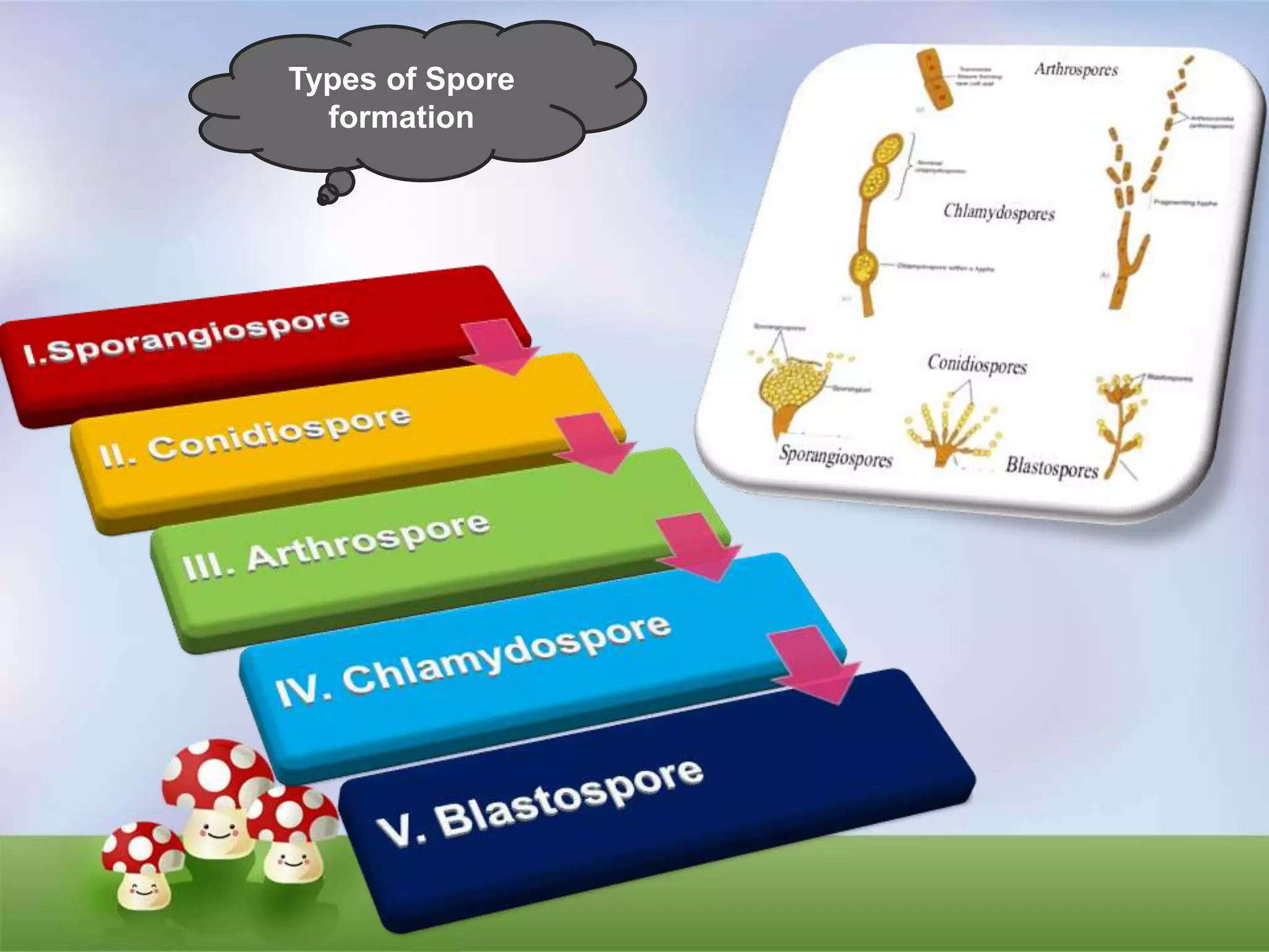 Fungi reproduction | PPTX
