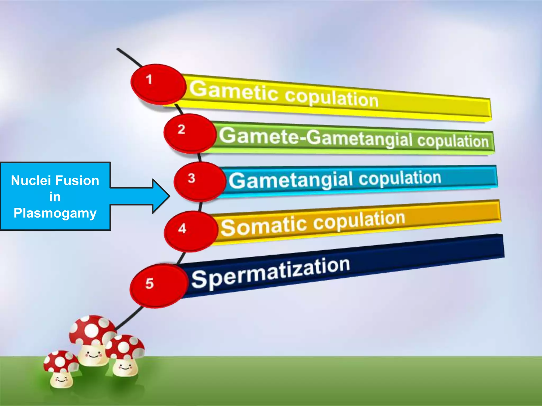 Fungi reproduction | PPTX