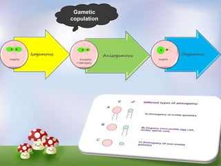 Fungi reproduction | PPTX