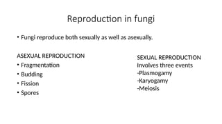 Fungi reproduction for college presentation | PPTX