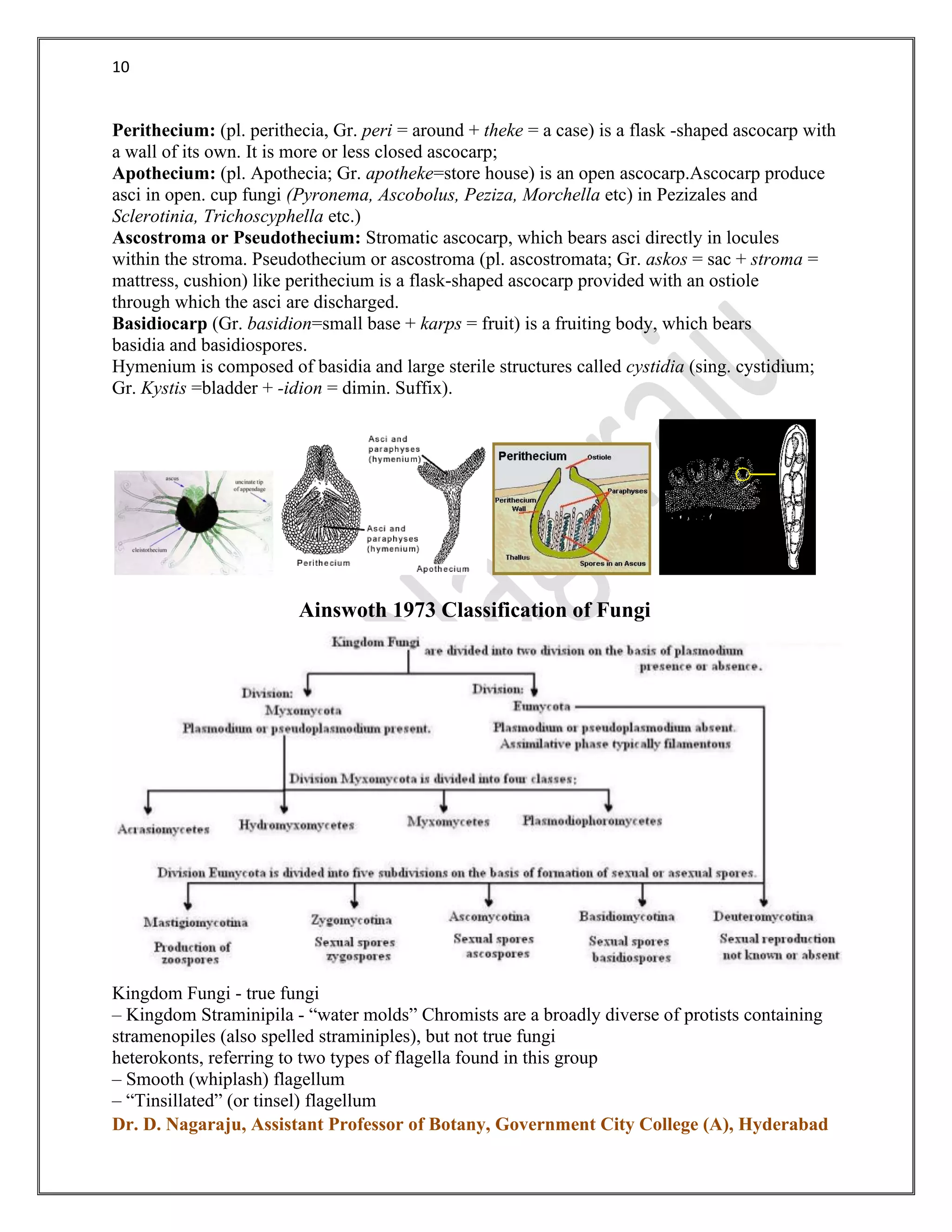 Fungi structure Reproduction Classification, Life cycles Bot coaching ...