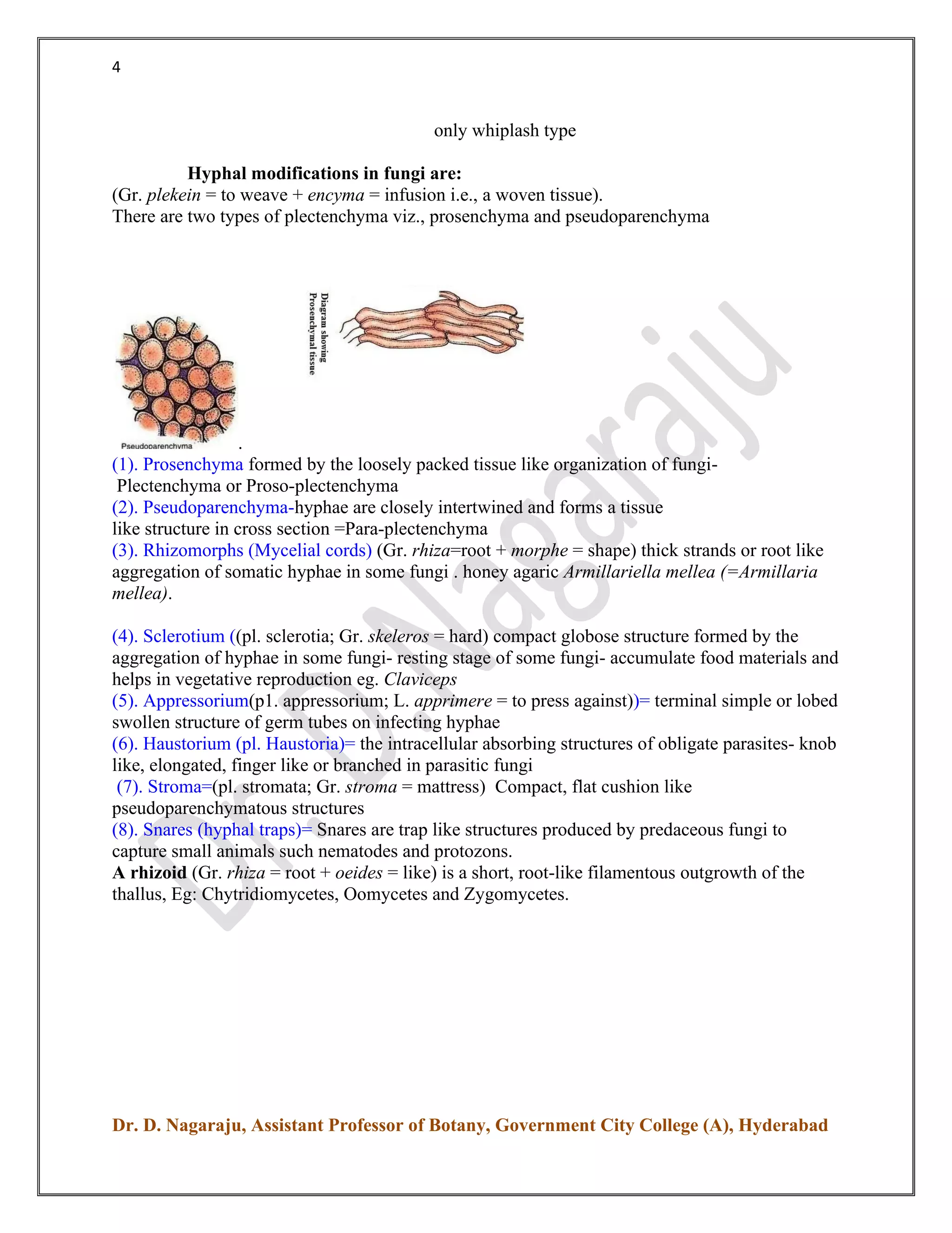 Fungi structure Reproduction Classification, Life cycles Bot coaching material dr dnr | PDF