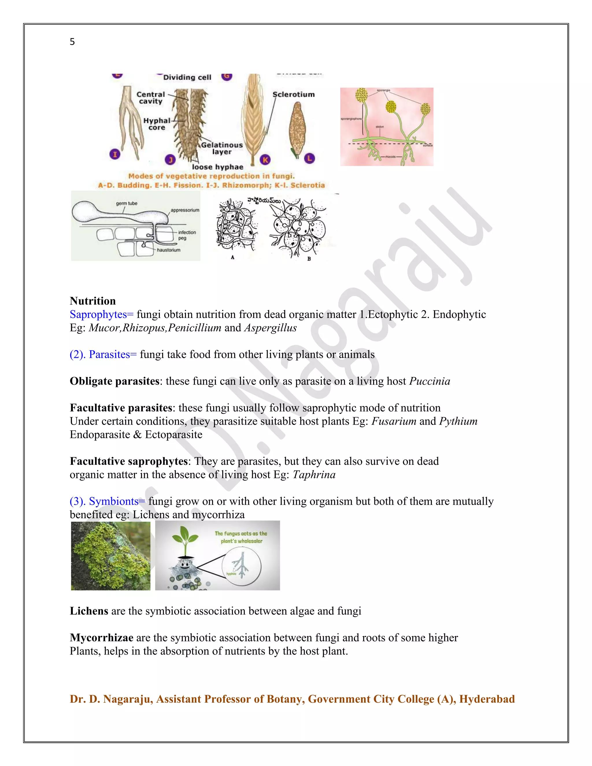 Fungi structure Reproduction Classification, Life cycles Bot coaching ...
