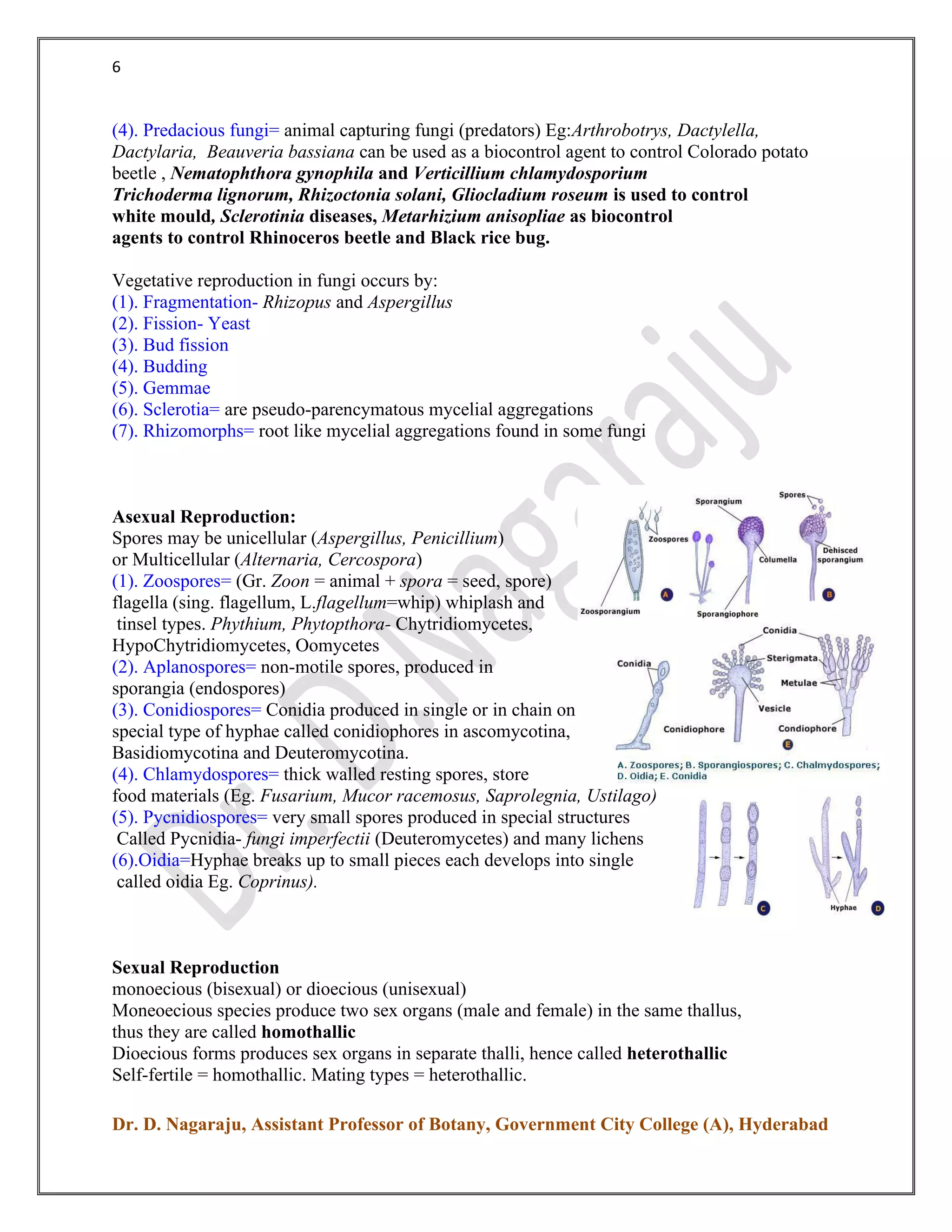 Fungi structure Reproduction Classification, Life cycles Bot coaching ...