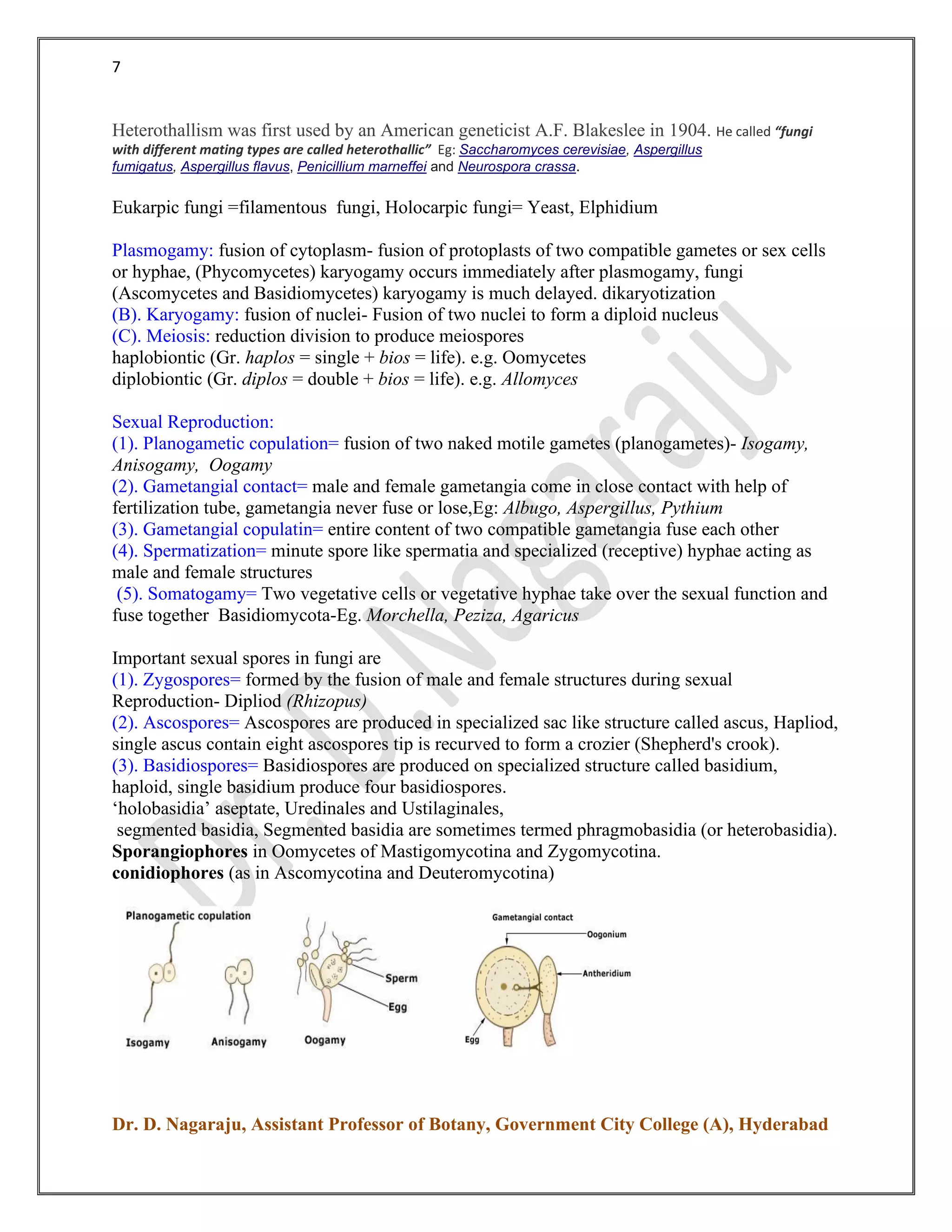 Fungi structure Reproduction Classification, Life cycles Bot coaching ...