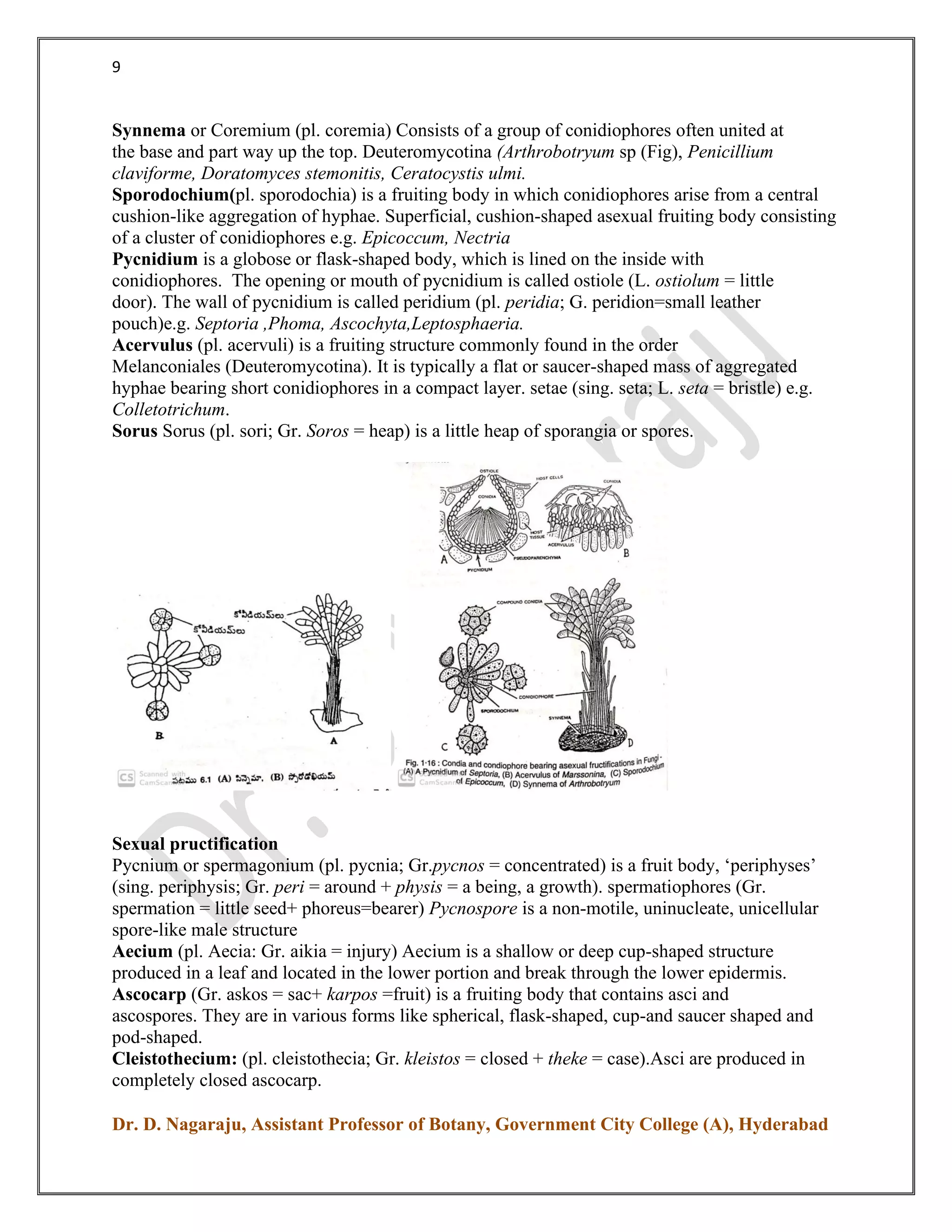 Fungi structure Reproduction Classification, Life cycles Bot coaching ...