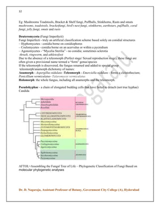 Fungi structure Reproduction Classification, Life cycles Bot coaching ...