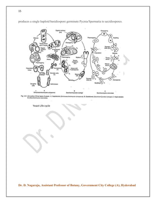 Fungi structure Reproduction Classification, Life cycles Bot coaching ...