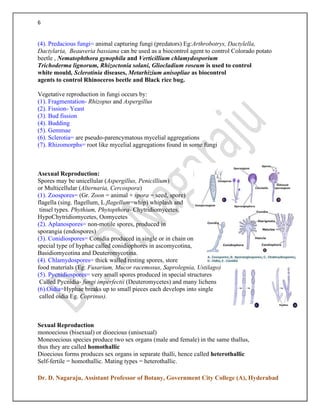 Fungi structure Reproduction Classification, Life cycles Bot coaching ...
