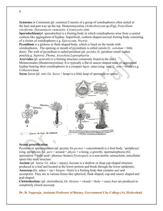 Fungi structure Reproduction Classification, Life cycles Bot coaching ...