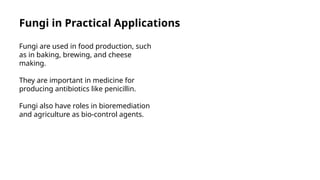 Fungi Their Morphology Structure And Methods Of.pptx