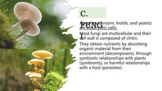 FUNGI pptx | PPTX | Biological Sciences | Science