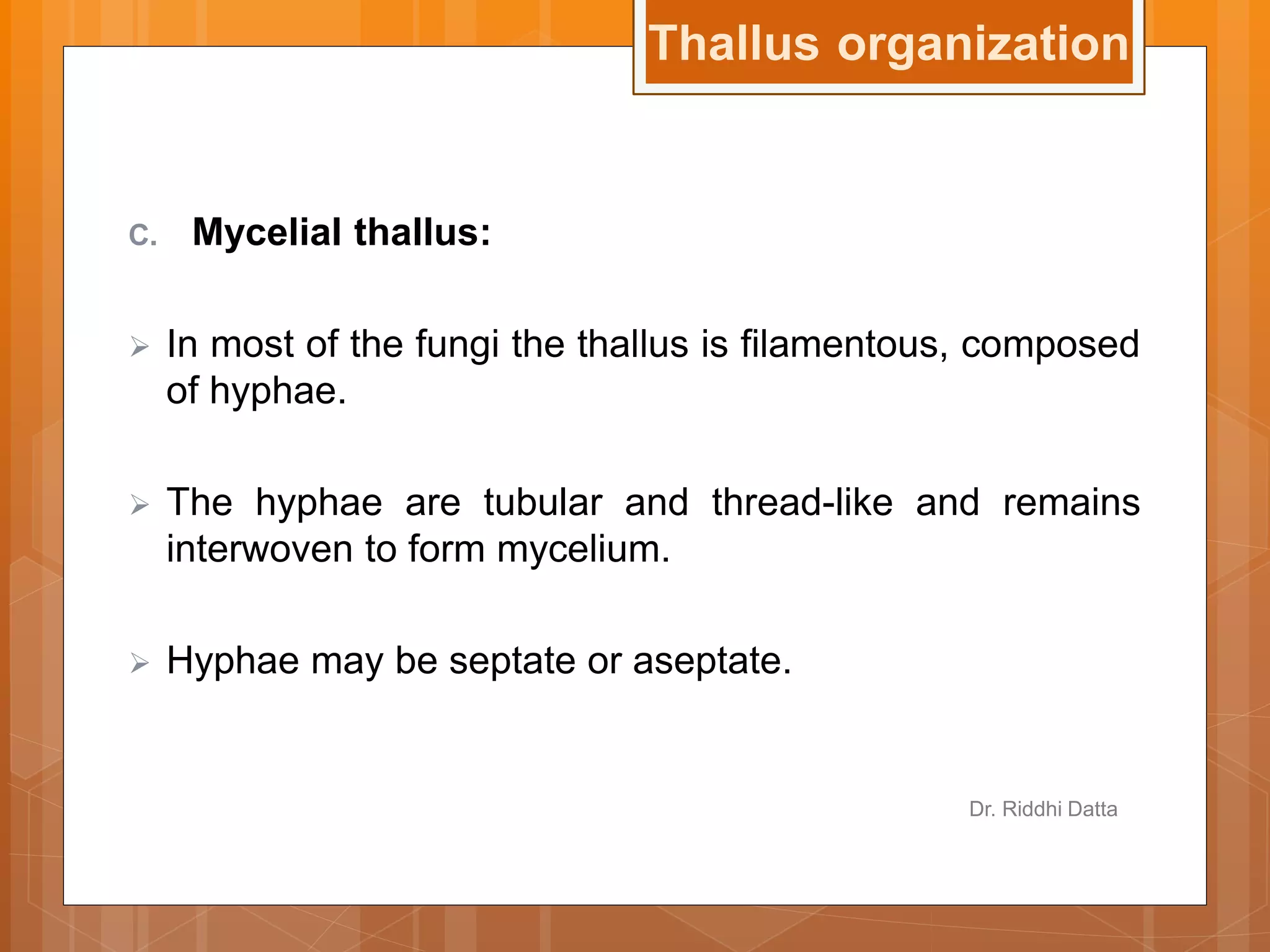Introduction to the world of Fungi | PPT