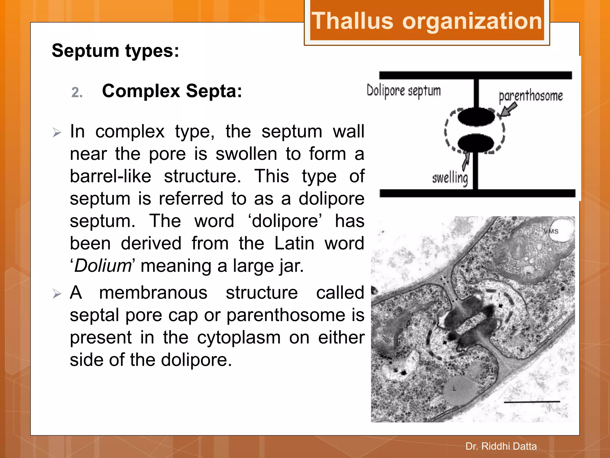 Introduction to the world of Fungi | PPT