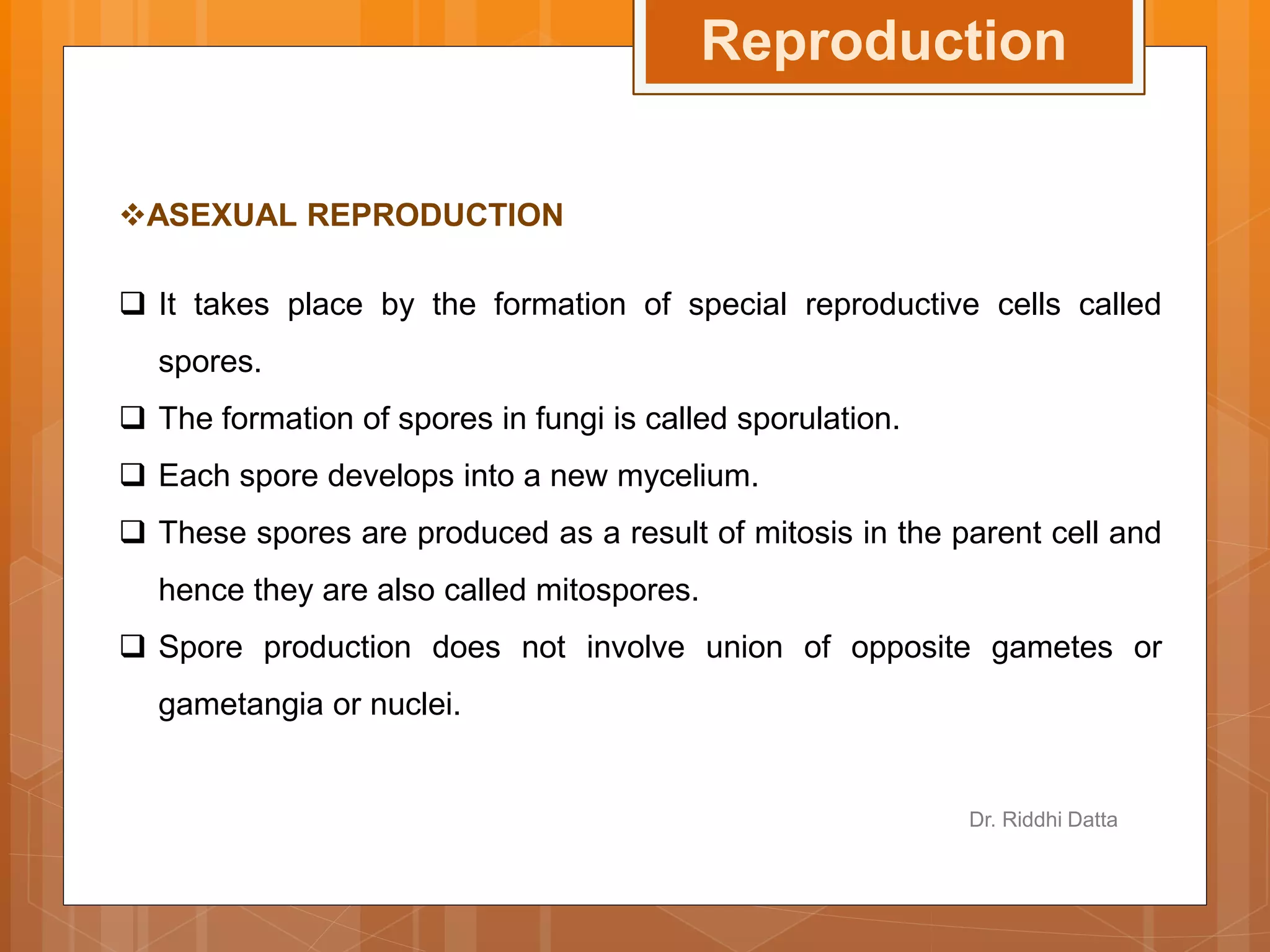 Introduction to the world of Fungi | PPT