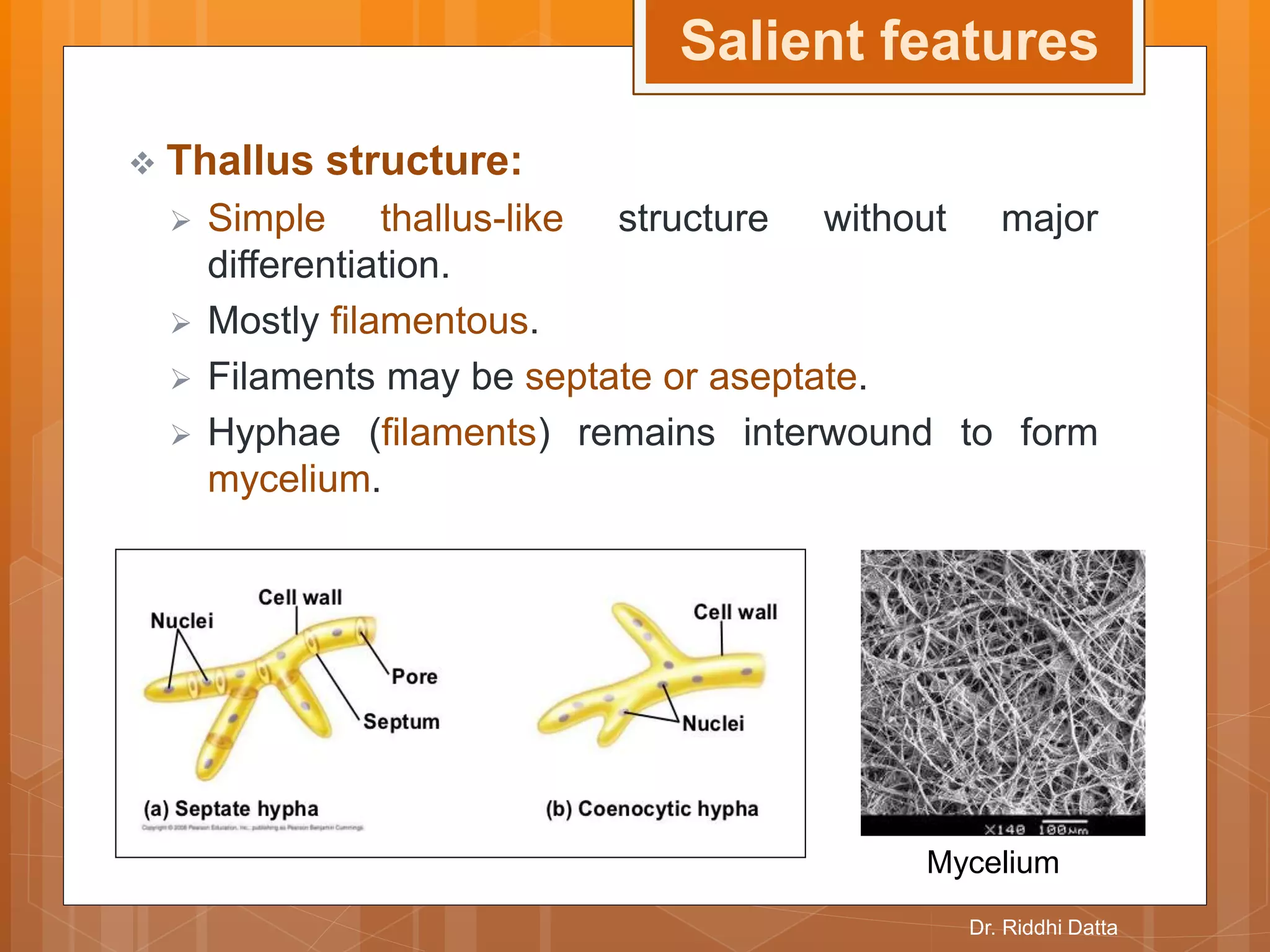 Introduction to the world of Fungi | PPT