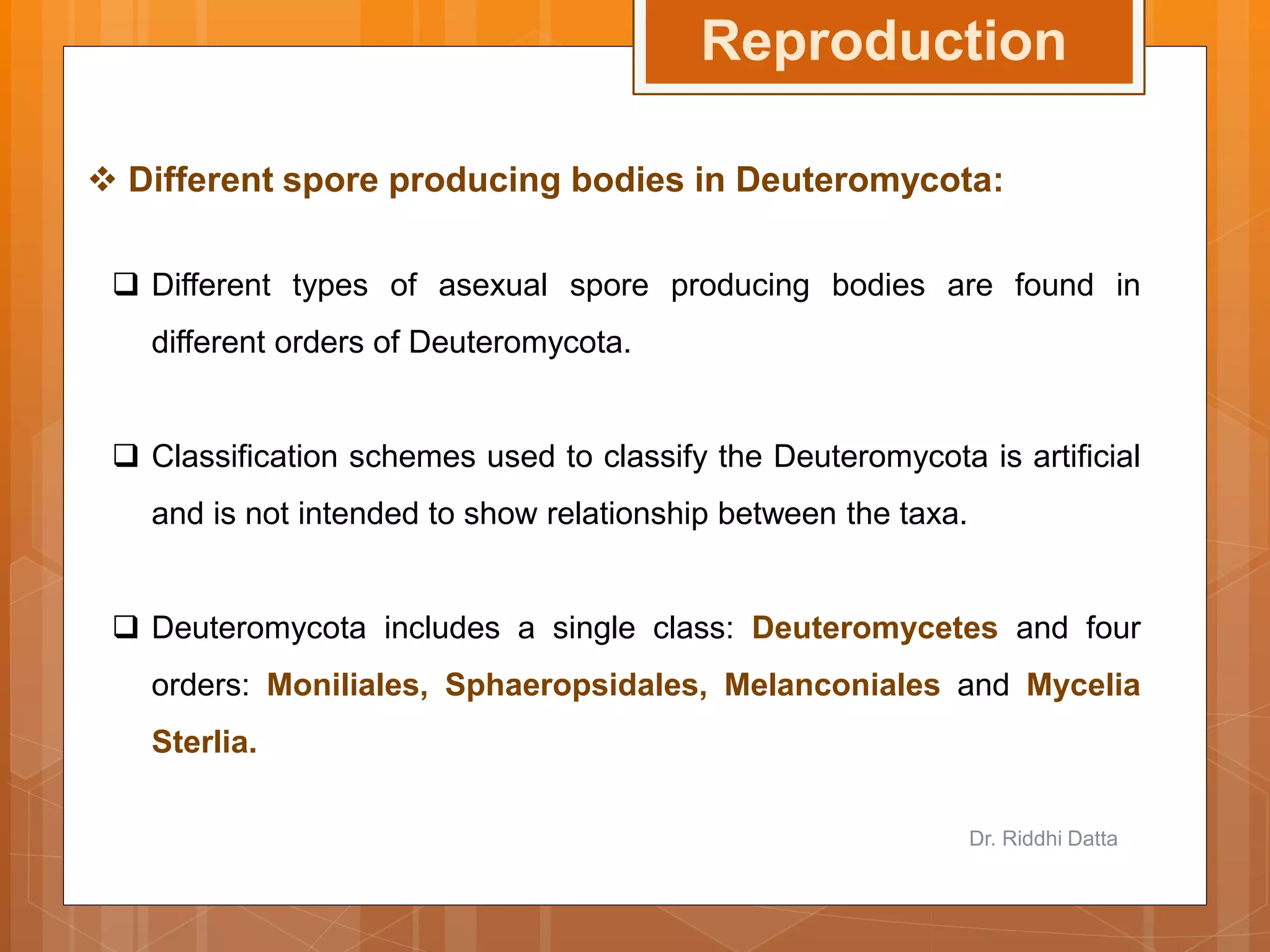 Introduction to the world of Fungi | PPT