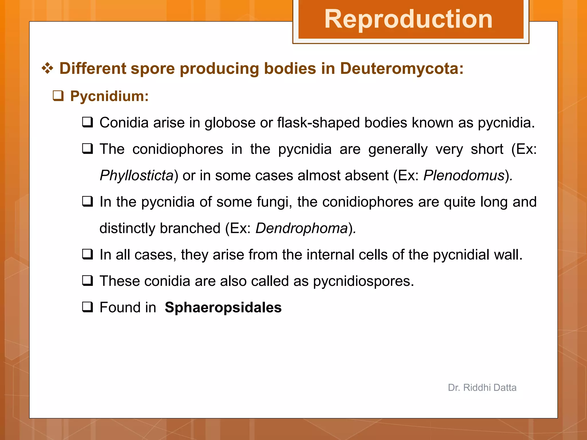 Introduction to the world of Fungi | PPT