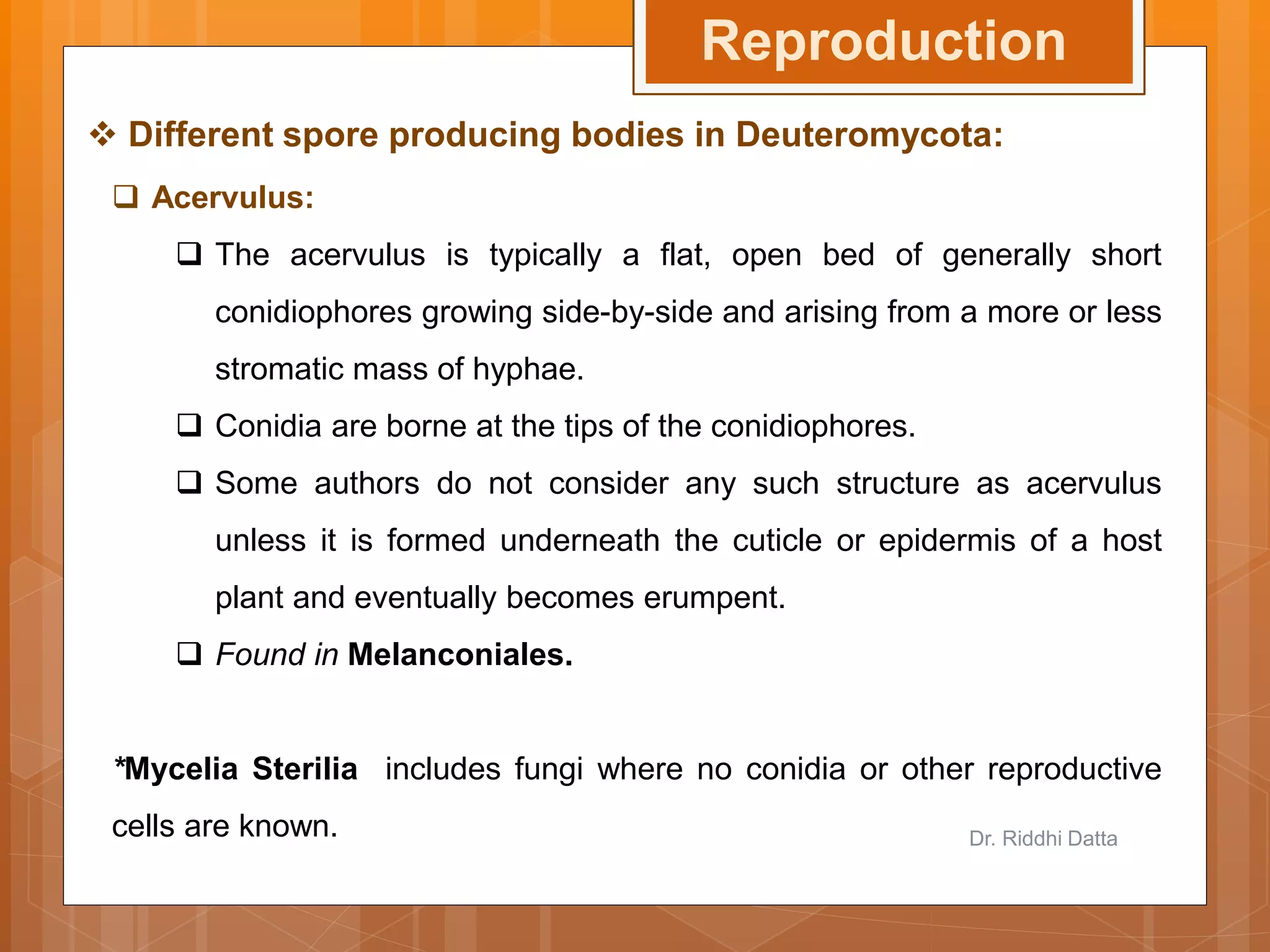 Introduction to the world of Fungi | PPT